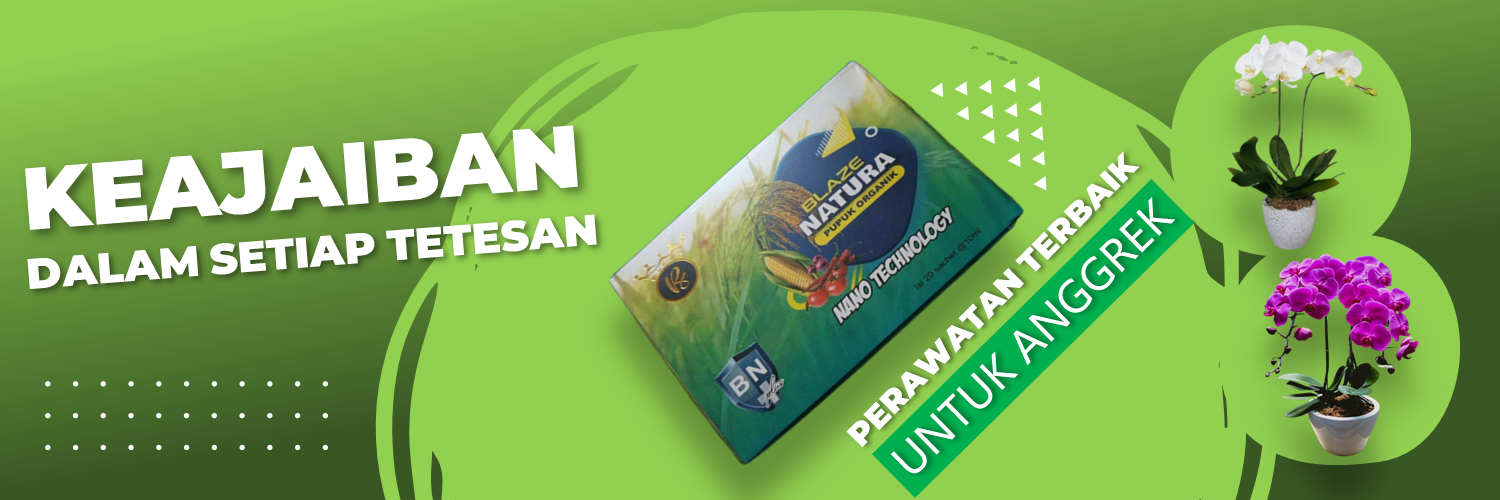 Pupuk Untuk Anggrek